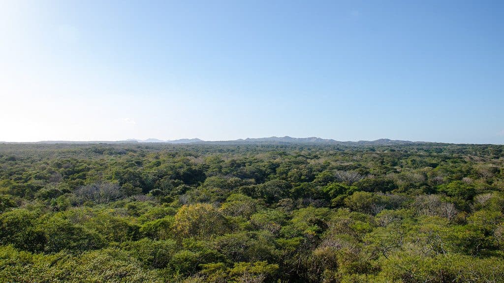 7 gráficos para entender el cambio climático en Centroamérica - Ojo al ...