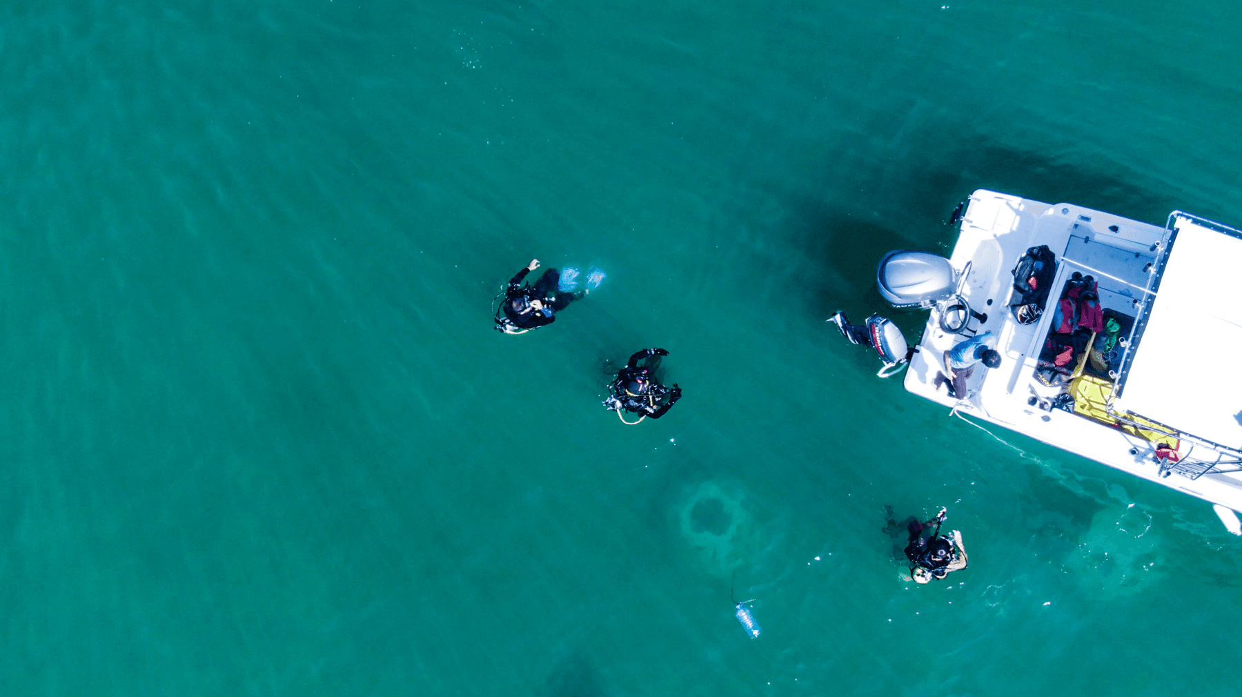 Arrecifes artificiales: una opción para atraer biodiversidad y quitarle ...