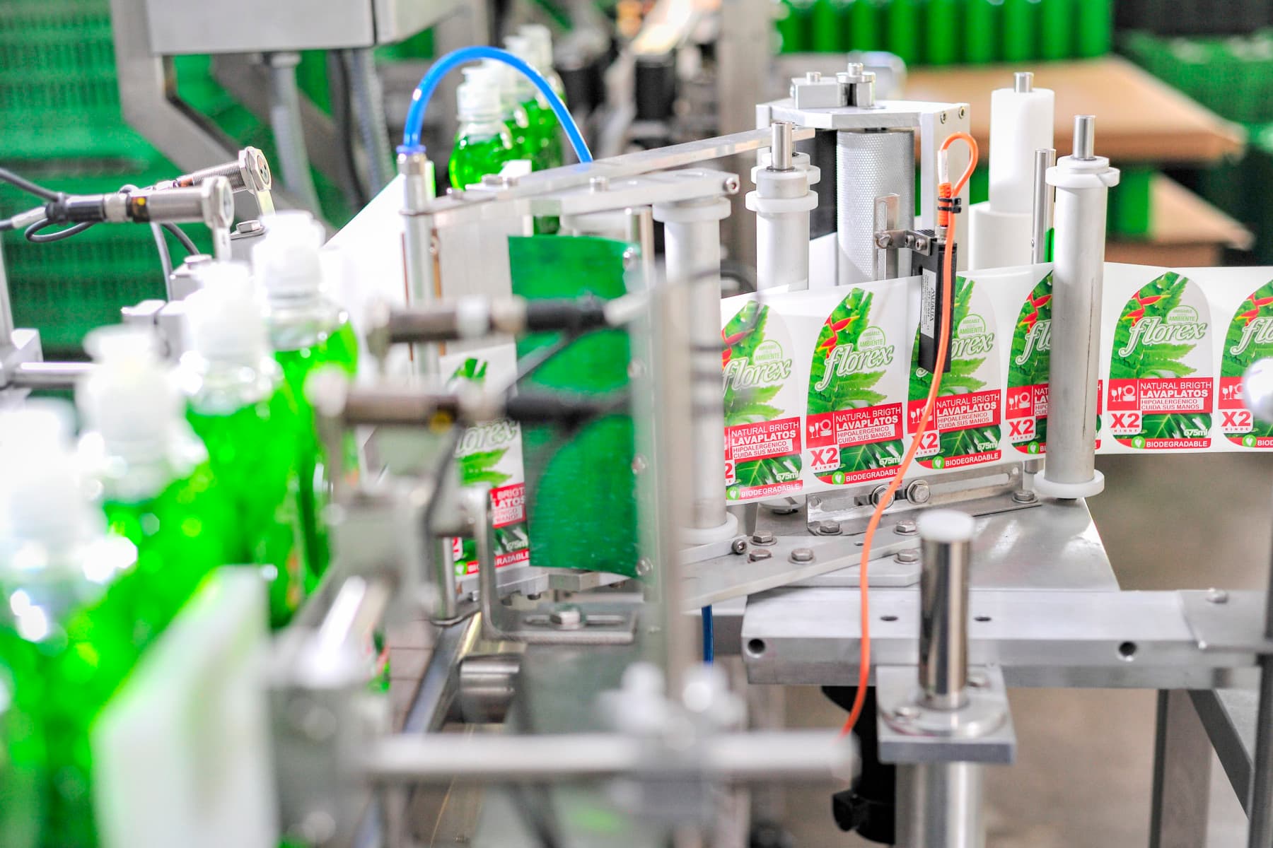 Florex: una apuesta por la innovación para garantizar la sostenibilidad ...