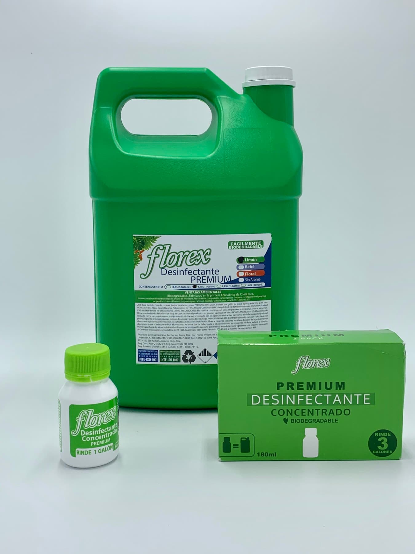 Florex: una apuesta por la innovación para garantizar la sostenibilidad ...