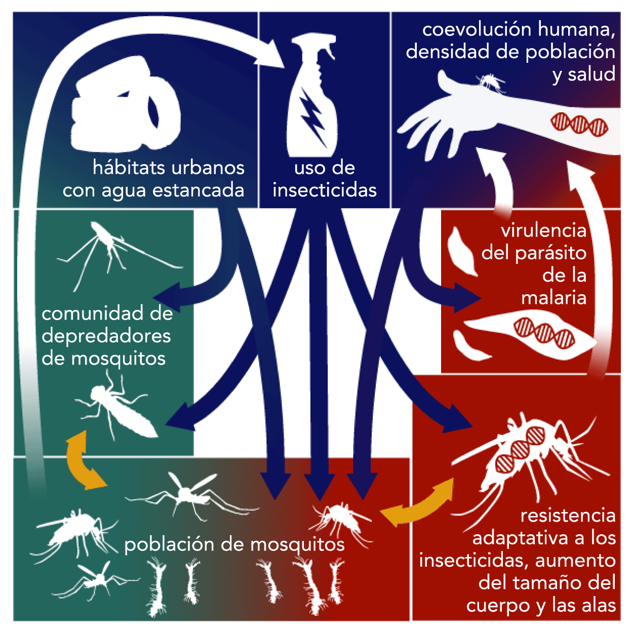 Evolución urbana: cómo se adaptan las especies para sobrevivir en las ...